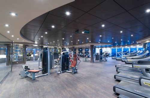 Gyms, Fitness Centers and Health Clubs for Sale